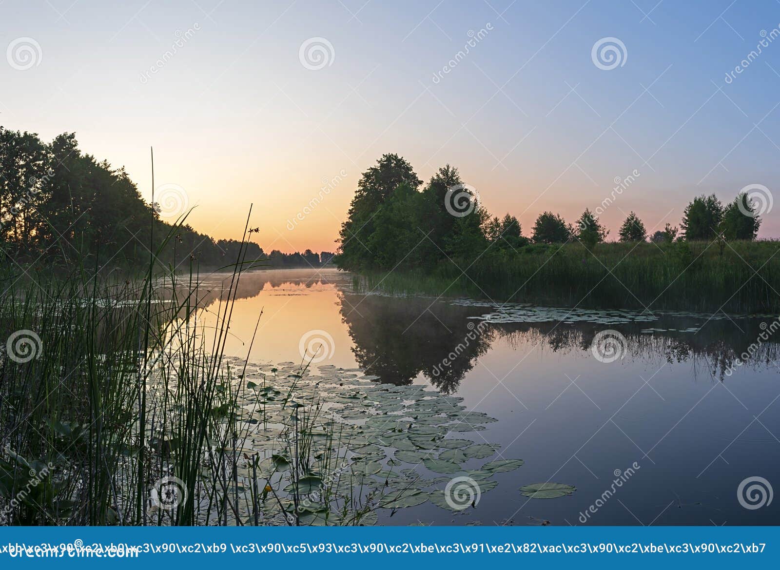 Sunrise over the river stock photo. Image of reflection - 239932110