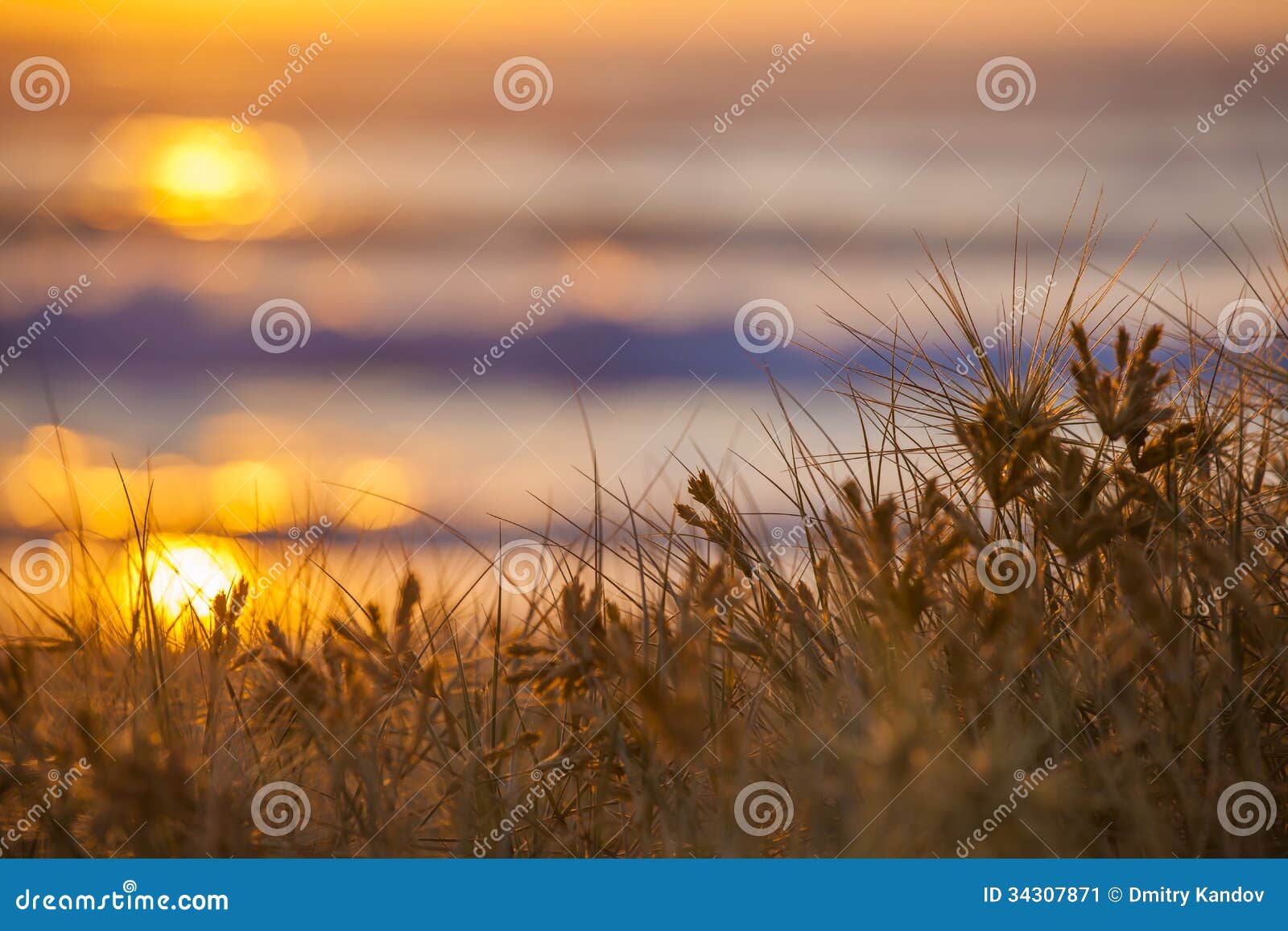 Sunrise Over the Sea through Grass Stock Image - Image of beach, water ...