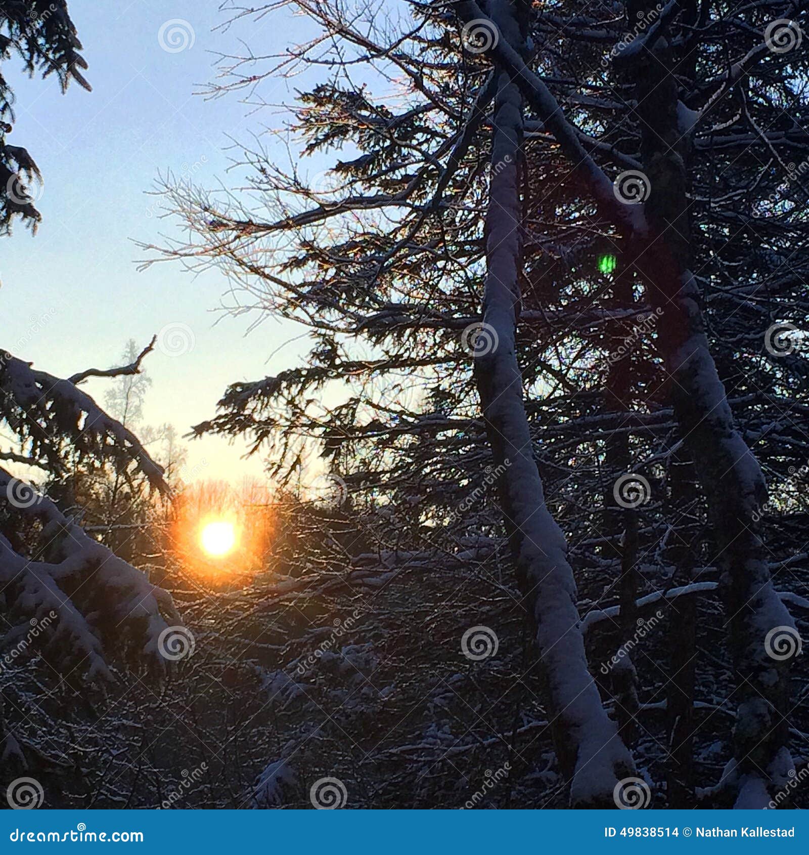 Sunrise over Swamp stock photo. Image of winter, sunrise - 49838514