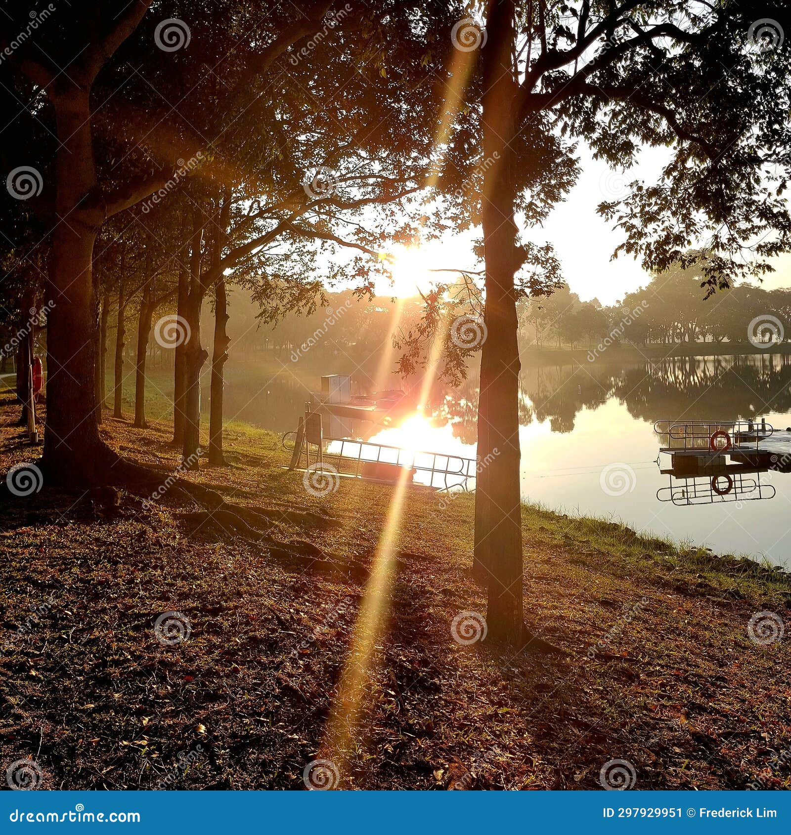 Sunrise Over Trees in at a Lake Stock Image - Image of evening, light ...