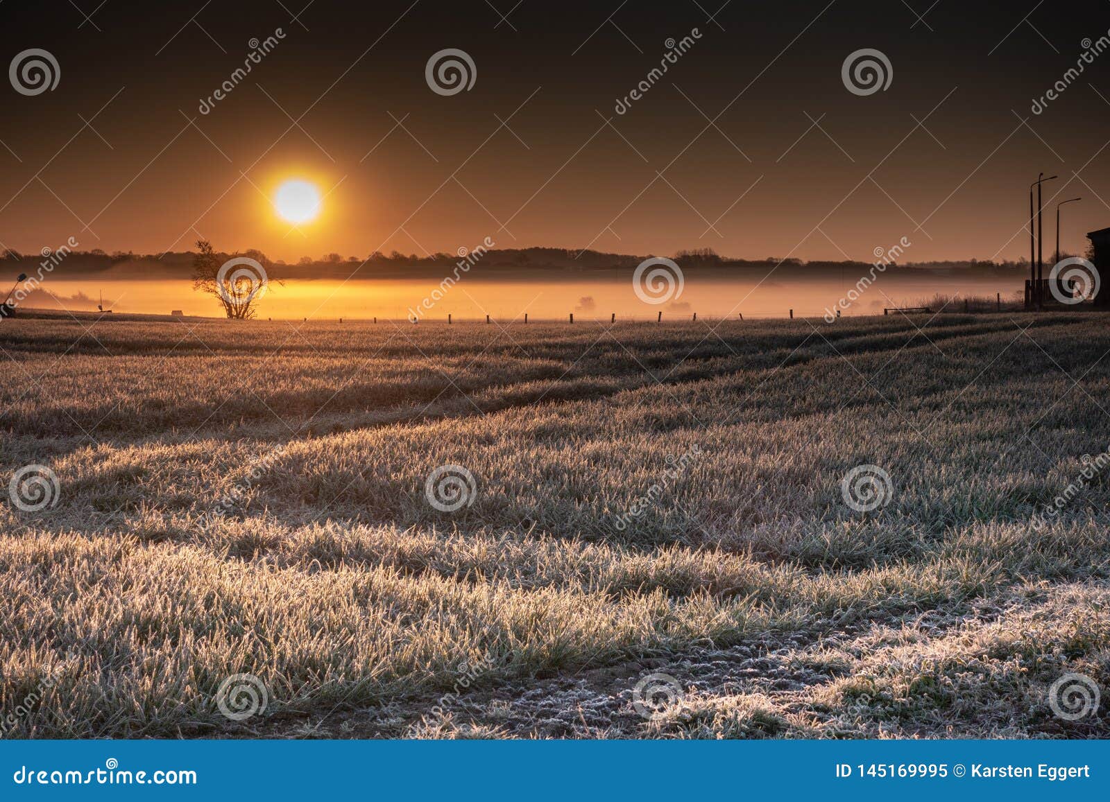 A sunrise over wide fields stock image. Image of flora - 145169995