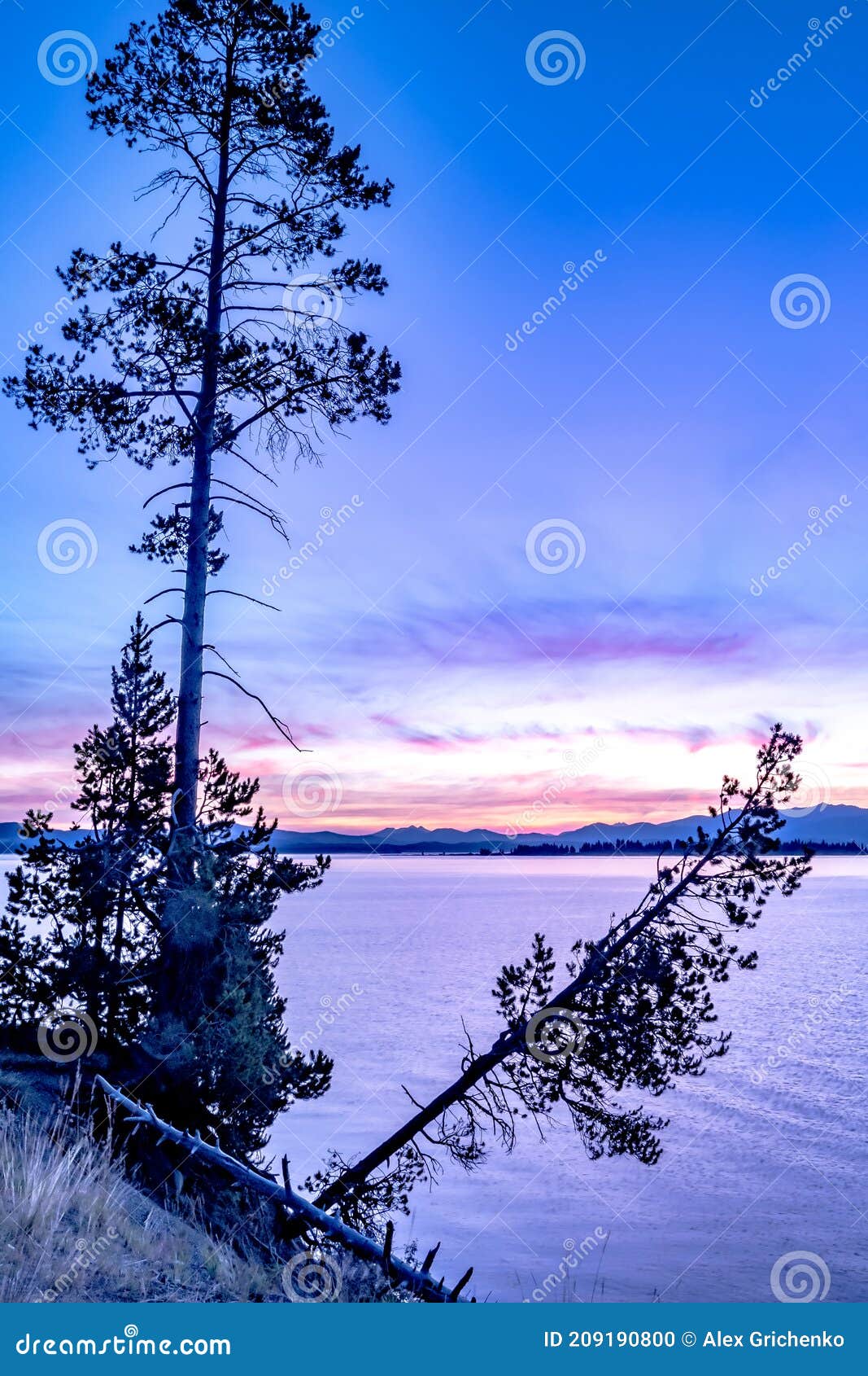 Sunrise Over Yellowstone Lake in Yellowstone National Park Stock Photo ...