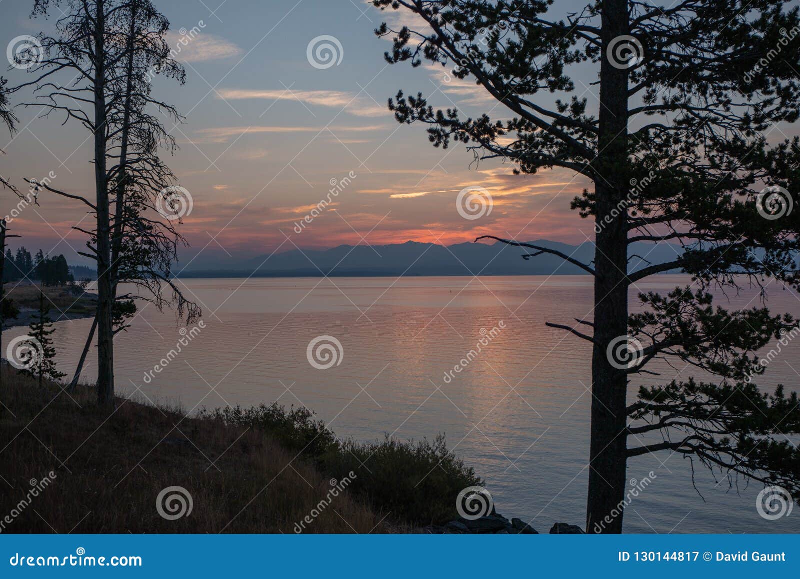 Sunrise Over Yellowstone Lake. Stock Image - Image of nature, forest ...