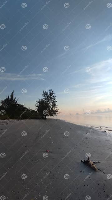 Sunrise Panorama at Koala Beach Stock Photo - Image of sunlight, shore ...