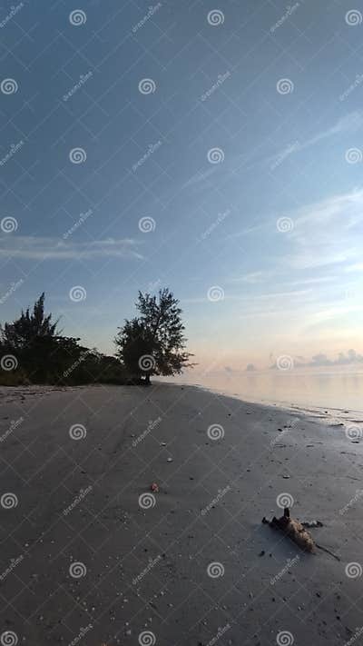 Sunrise Panorama at Koala Beach Stock Photo - Image of sunlight, shore ...
