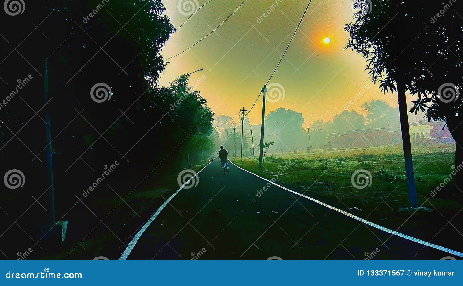 Sunrise and a path stock image. Image of trees, morning - 133371567