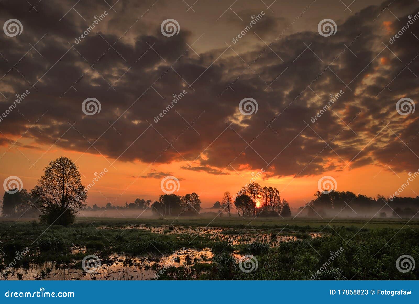 Sunrise on the pond stock image. Image of water, damp - 17868823