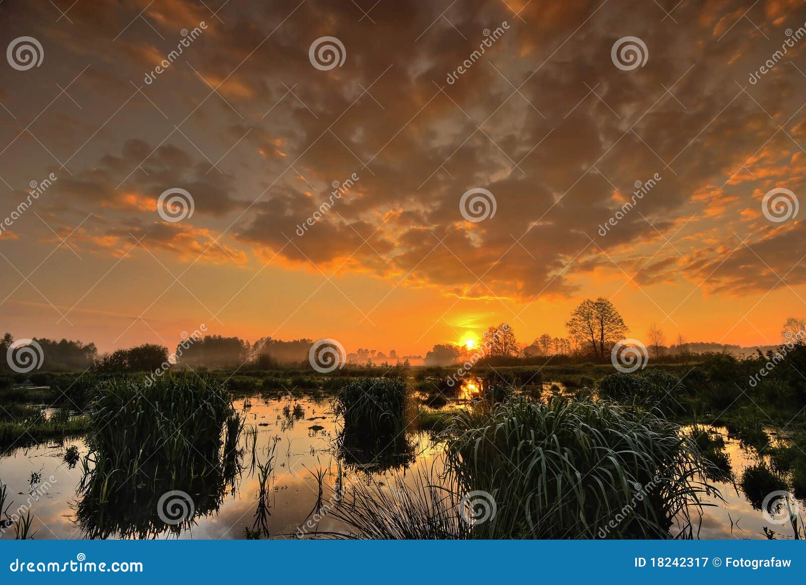 Sunrise on the pond stock image. Image of pond, ponds - 18242317