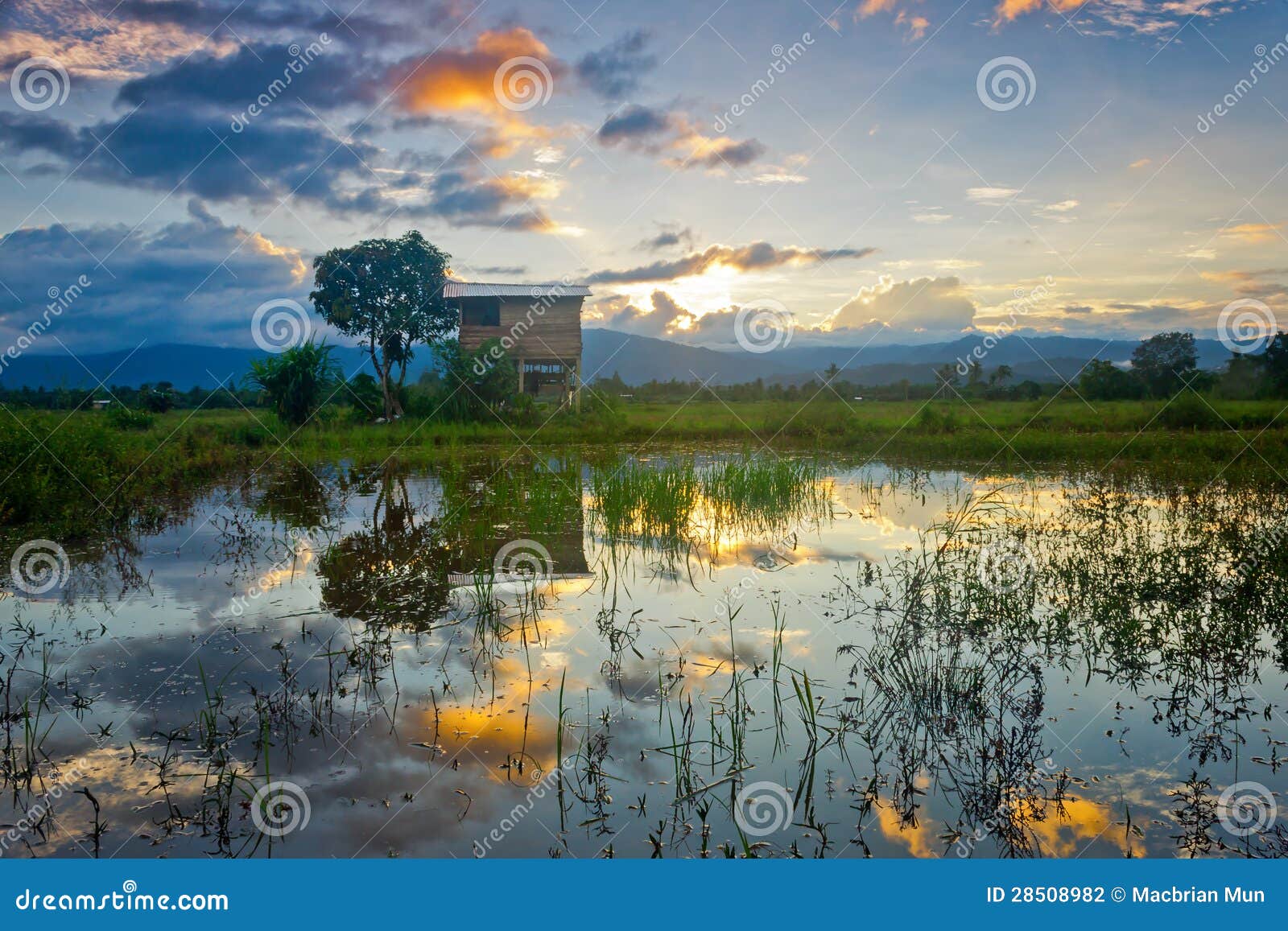 Sunrise reflection stock photo. Image of colorful, peaceful - 28508982