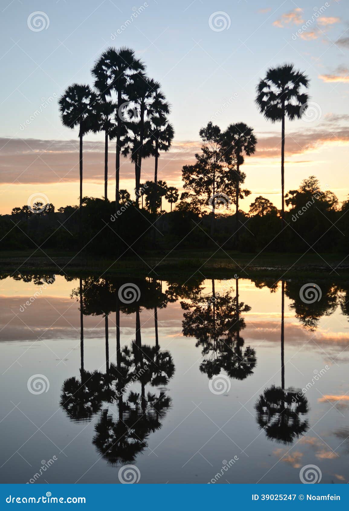 Sunrise Reflection on a Lake Stock Image - Image of trees, perfect ...