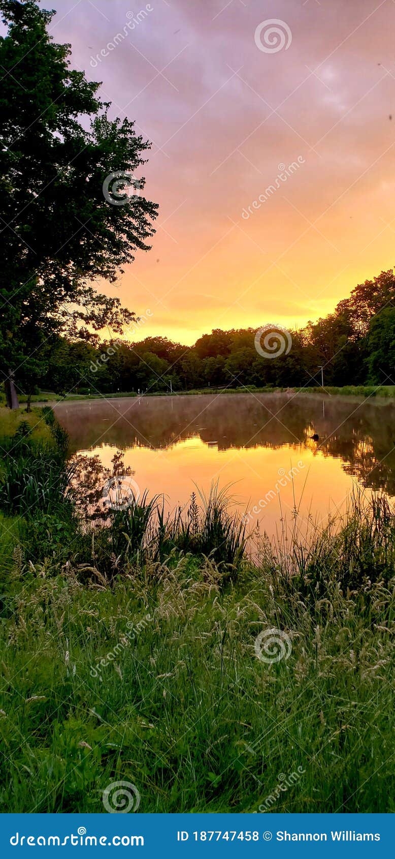 Sunrise Reflection on Water Stock Photo - Image of autumn, sunset ...