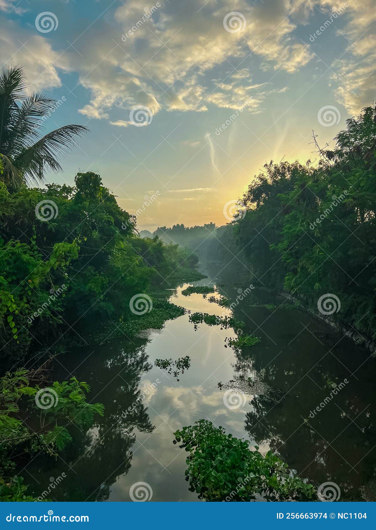 Sunrise stock photo. Image of yellow, sunrise, goldenrays - 256663974