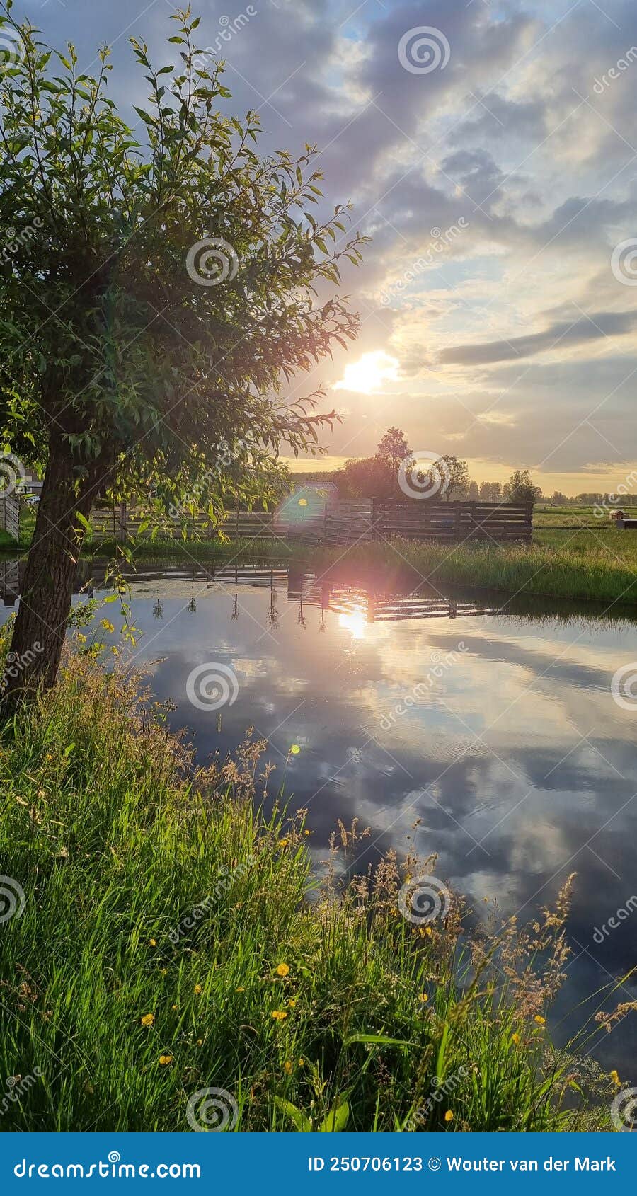 Sunrise Rest Peace Nature Pure Stock Image - Image of light, plant ...