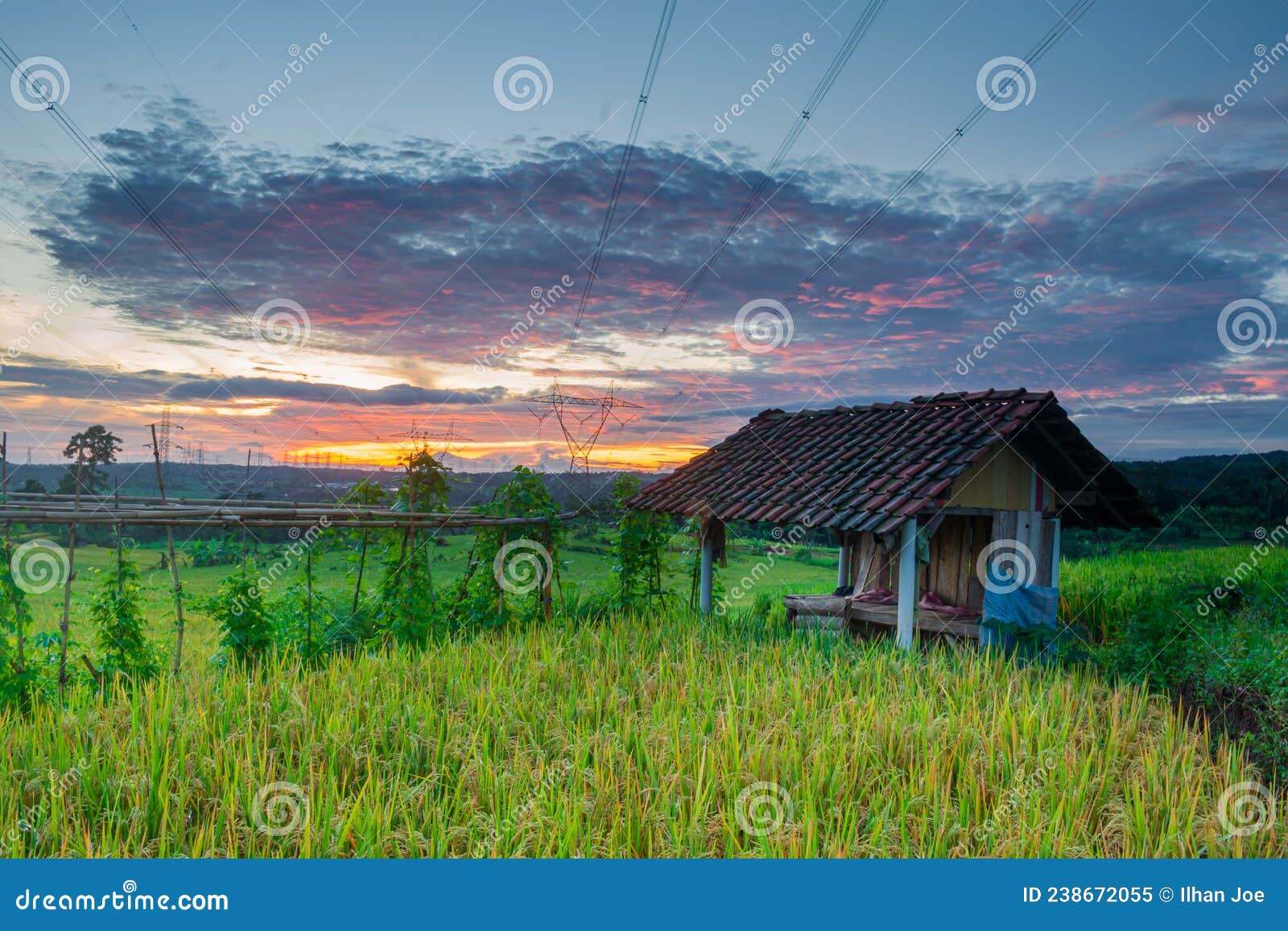 Sunrise in the Rice Fields of Kuningan City, West Java Stock Image ...