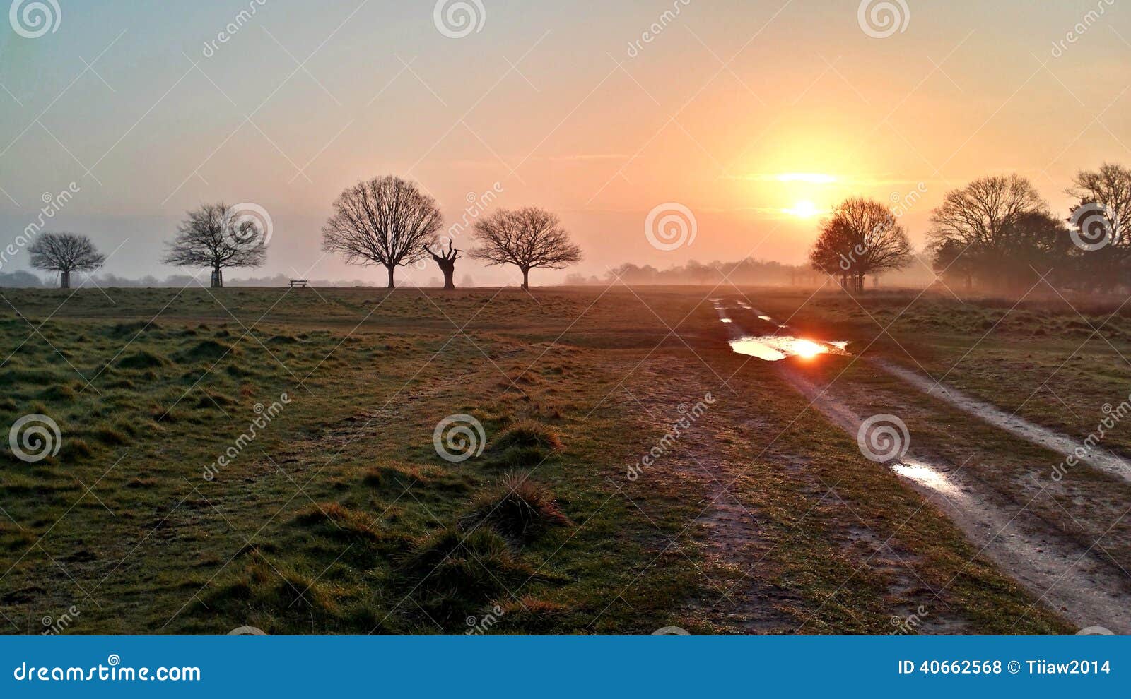 Sunrise in Richmond Park stock photo. Image of sunrise - 40662568