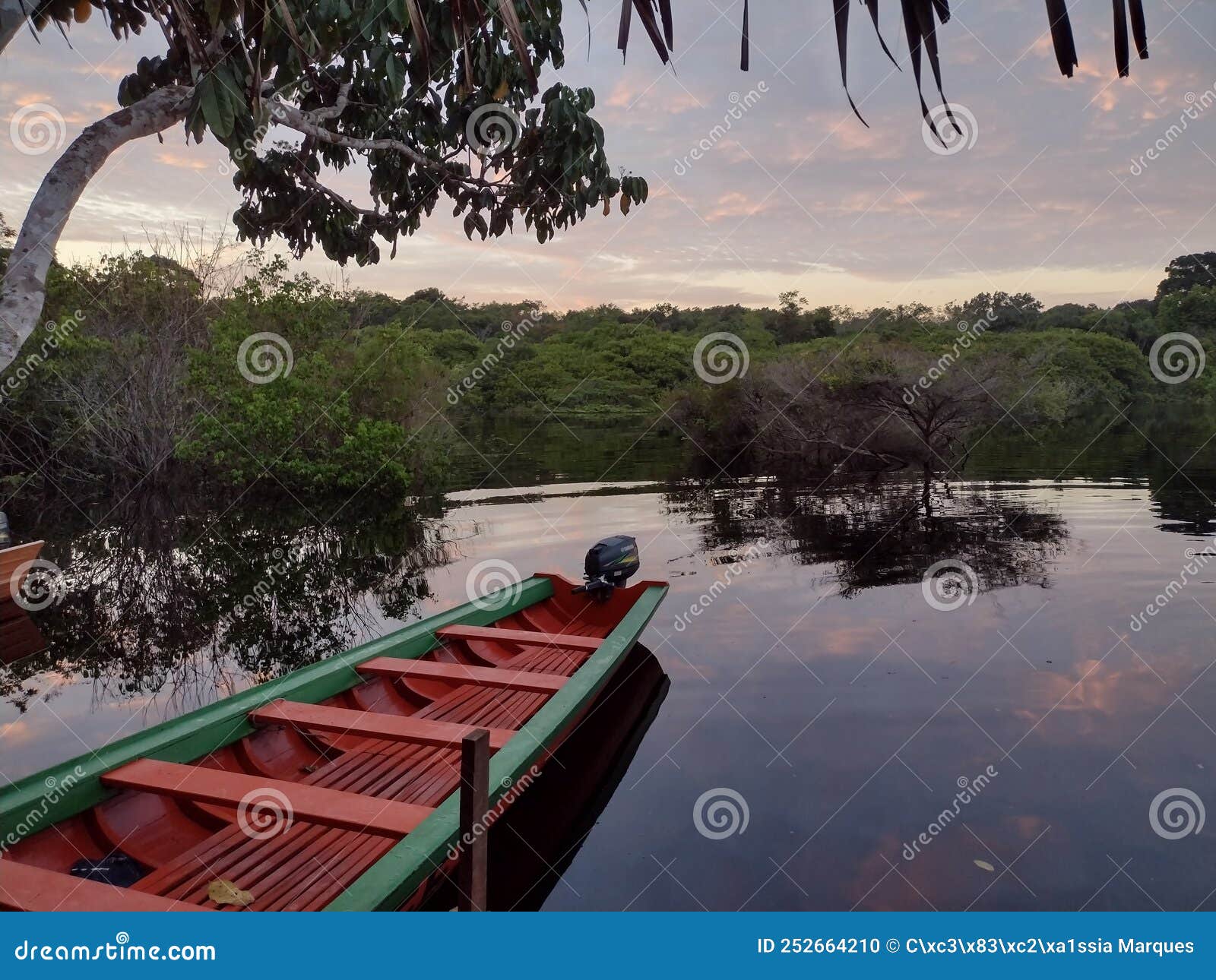Sunrise of the Amazon Rainforest Stock Photo - Image of rainforest ...