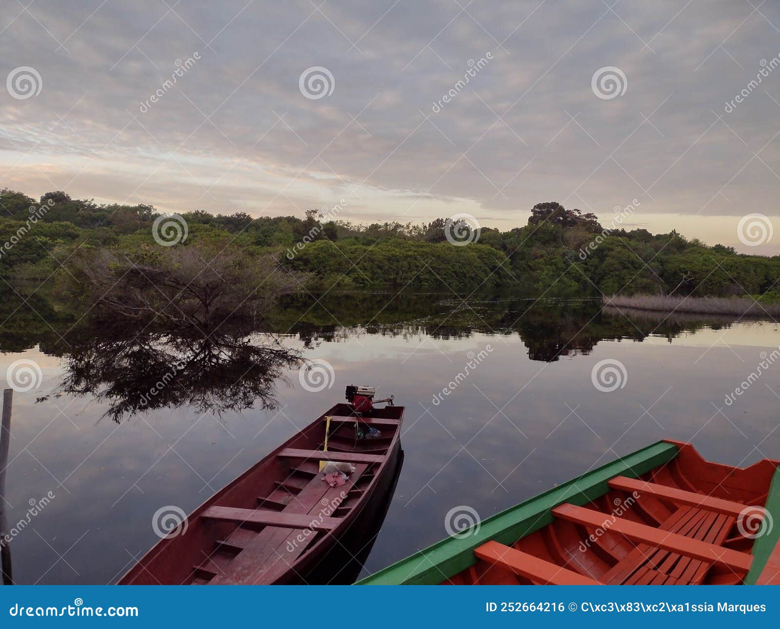 Sunrise of the Amazon Rainforest Stock Photo - Image of rest, river ...