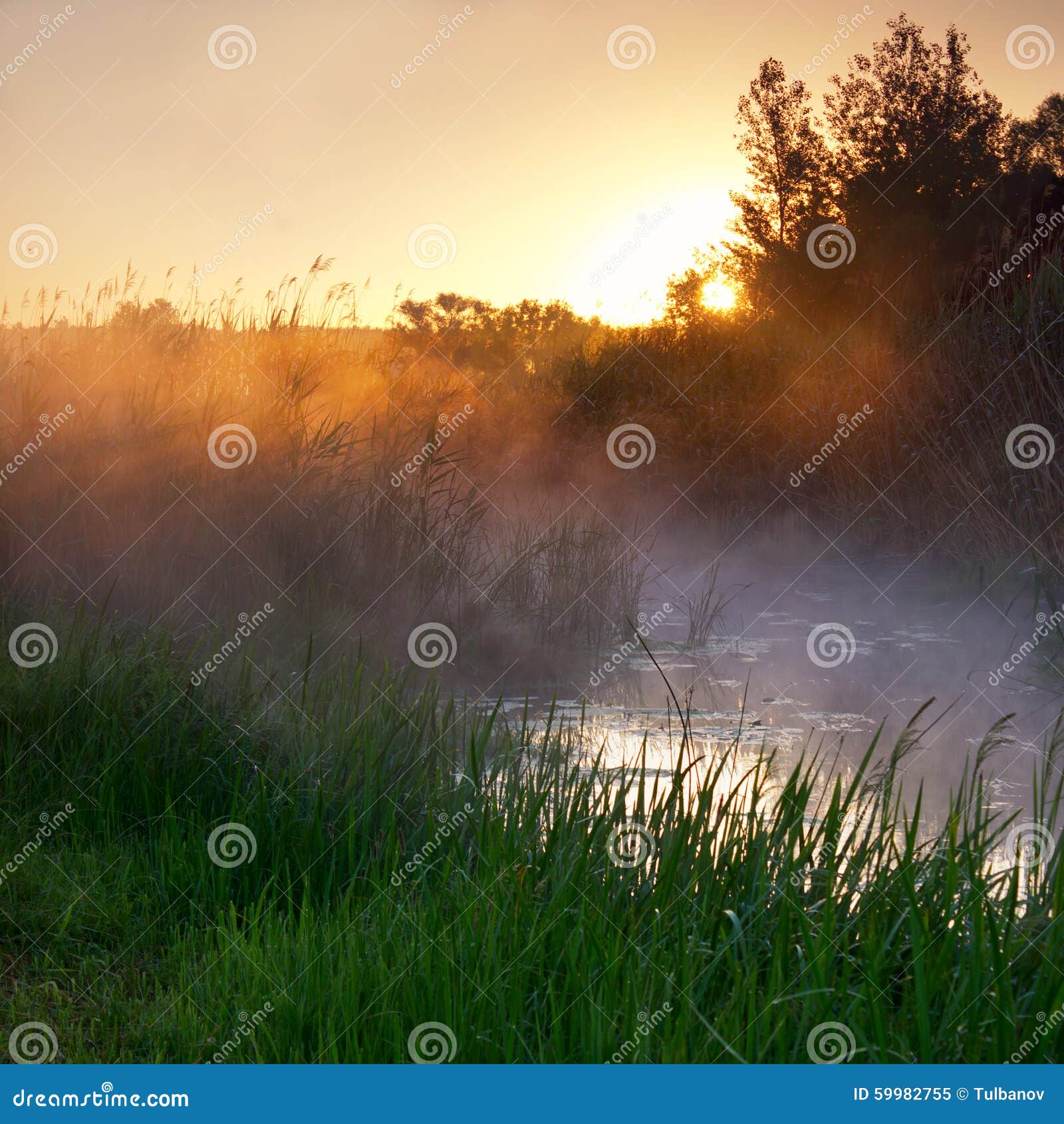 Sunrise on the river stock image. Image of river, sunlight - 59982755