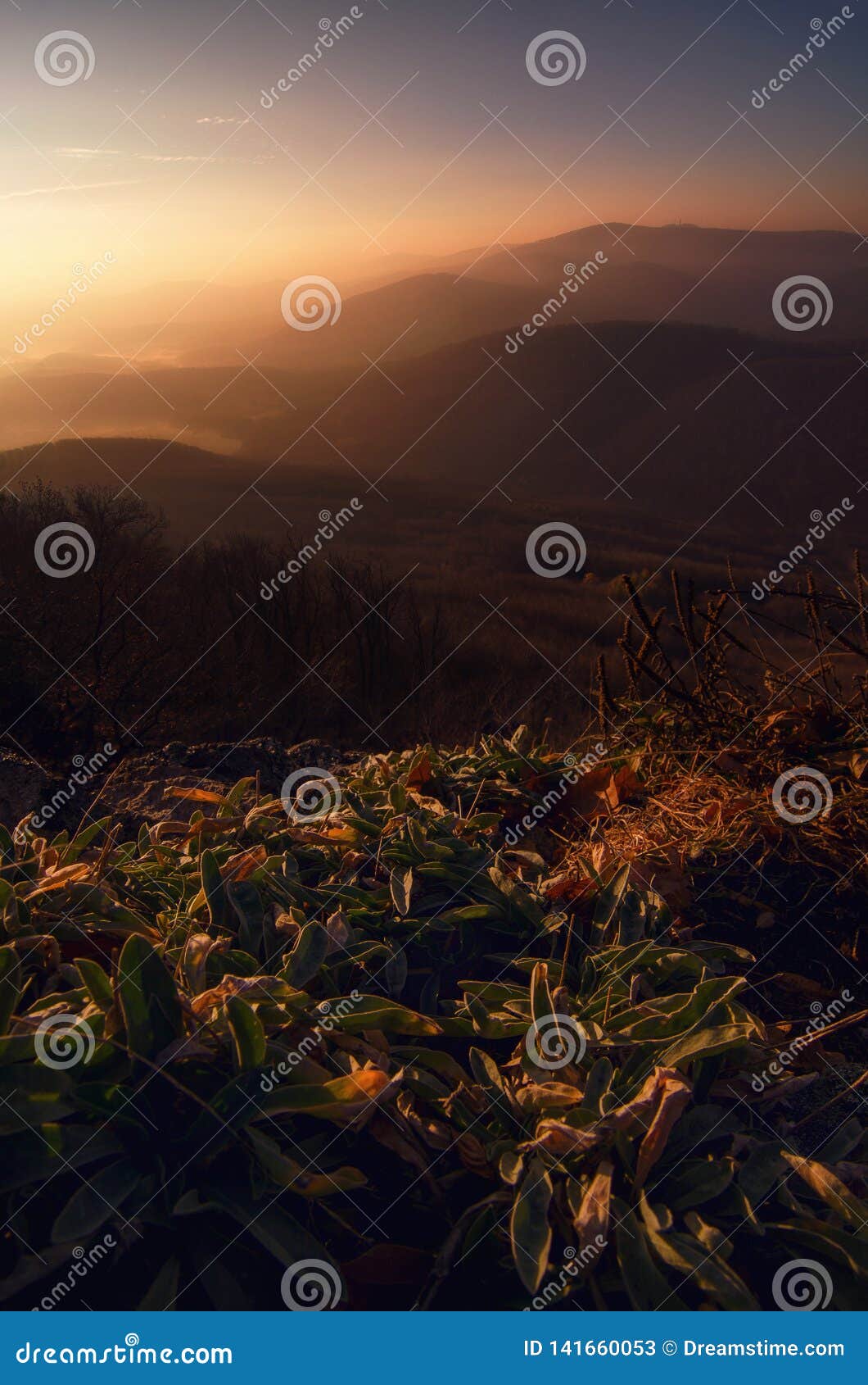 Sunrise on the Rocks stock image. Image of tree, rocks - 141660053