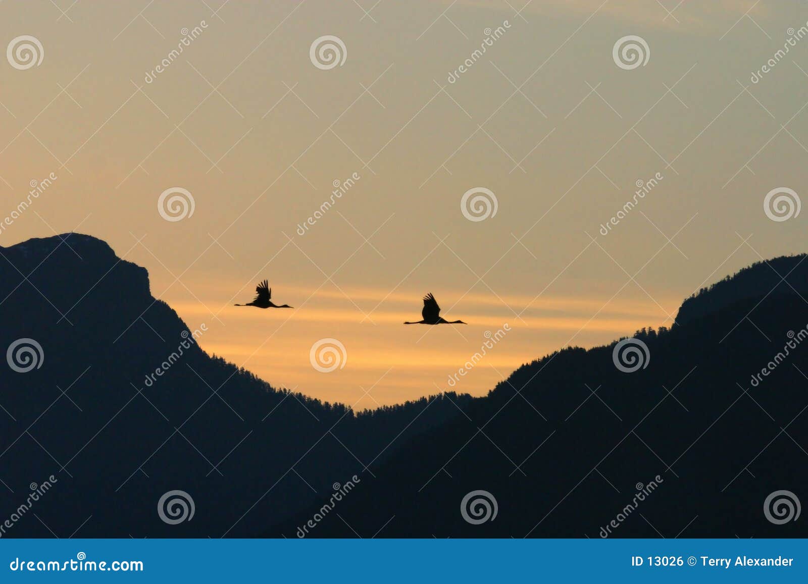 Sunrise shadows stock photo. Image of sunrise, clouds, sandhill - 13026