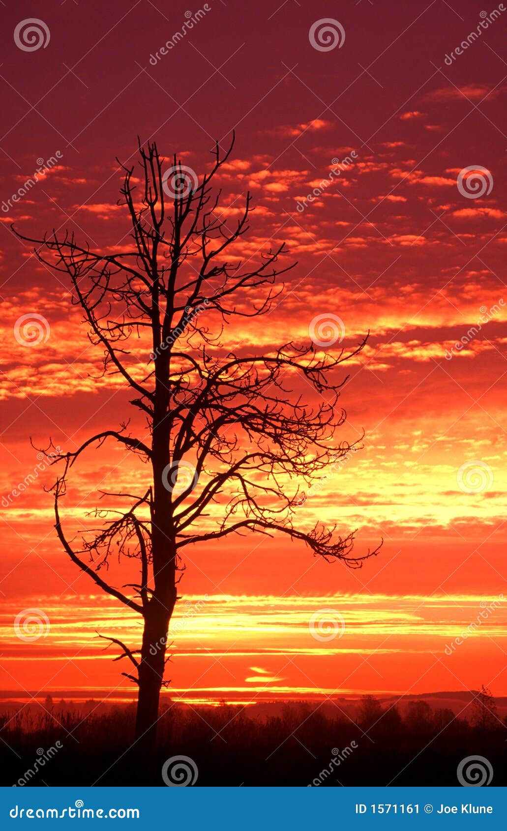 Sunrise Silhouette stock image. Image of natural, color - 1571161