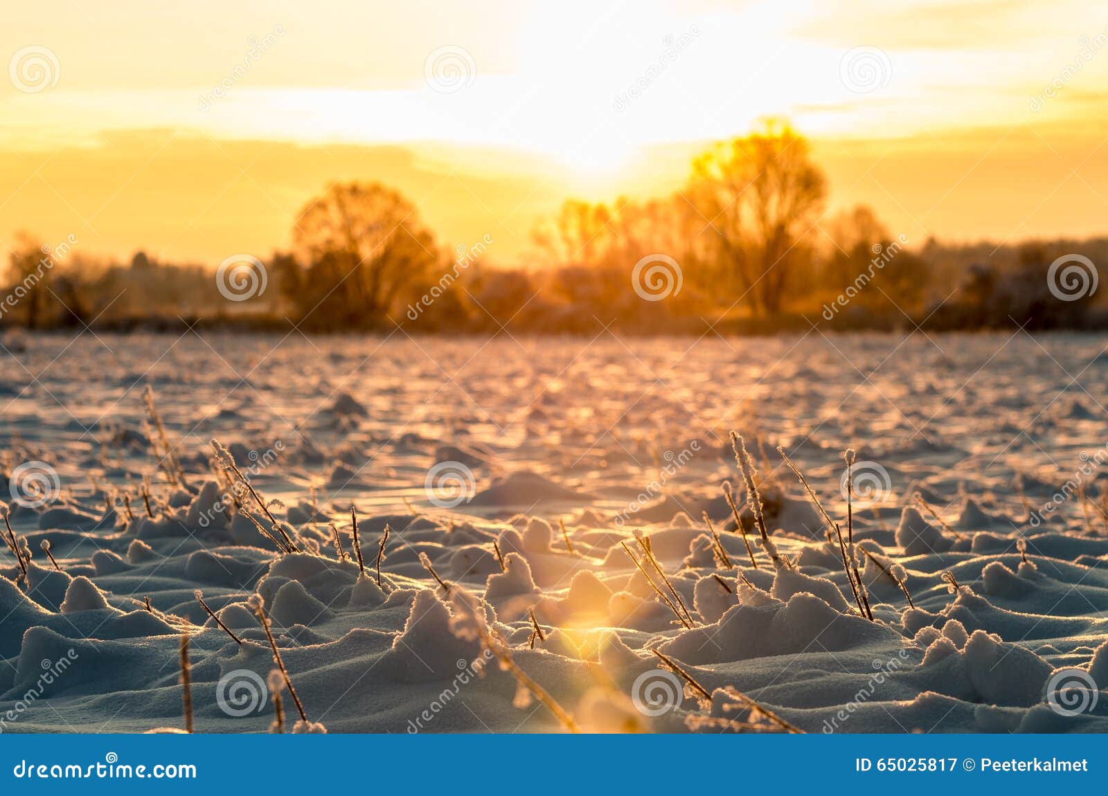 Sunrise at Snowy Frosty Field Stock Image - Image of freeze, nature ...