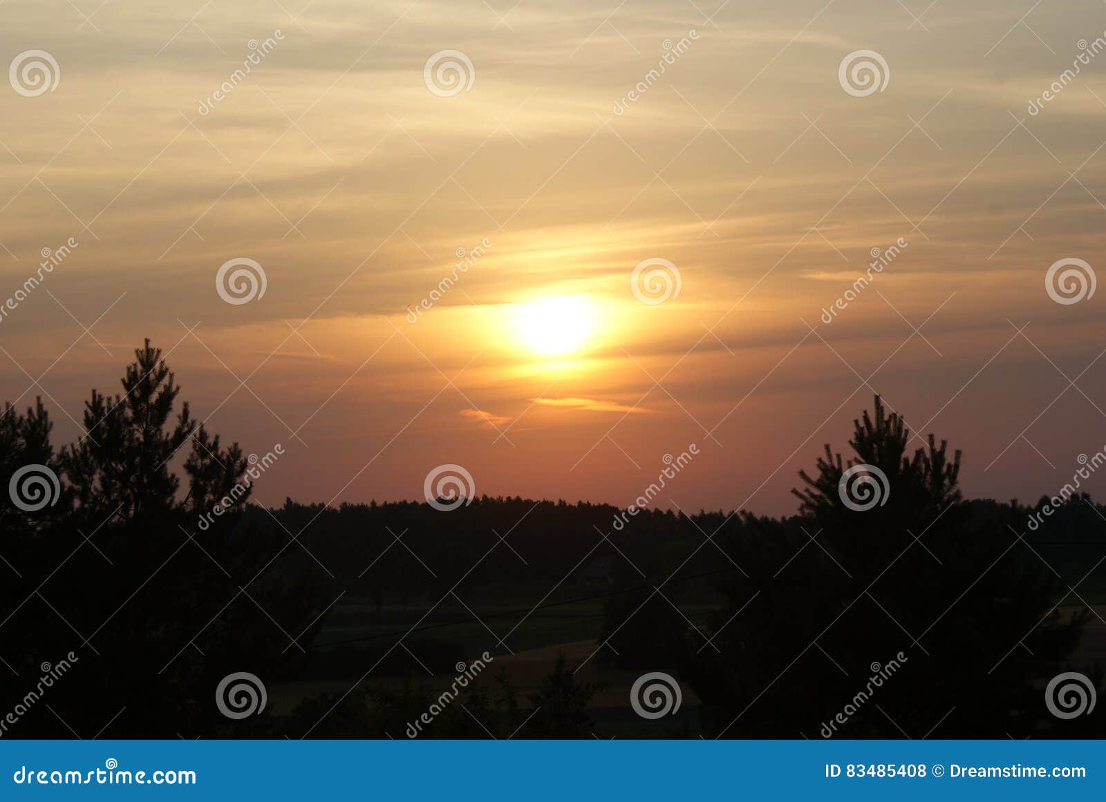 Sunrise stock photo. Image of forest, sunrise, colour - 83485408