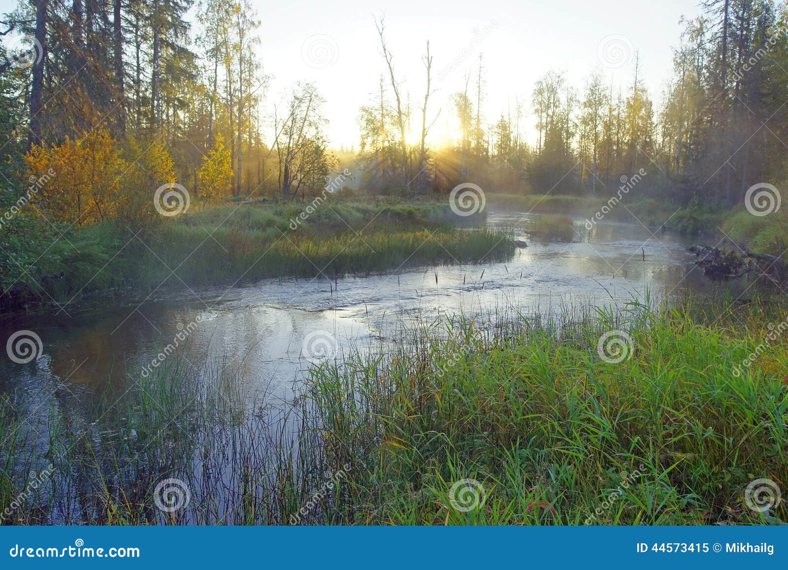 Sunrise on the stream stock image. Image of sunrise, silhouette - 44573415