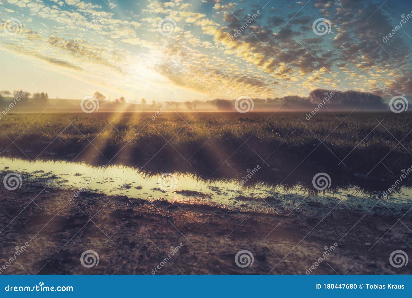 Sunrise with Sun Rays on a Wide Field with a Reflective Puddle in the ...