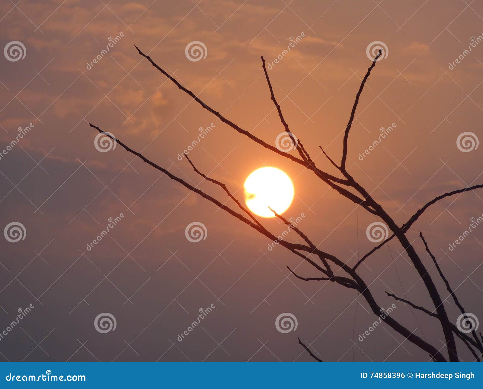 Sunrise stock photo. Image of rise, spread, light, sunrise - 74858396
