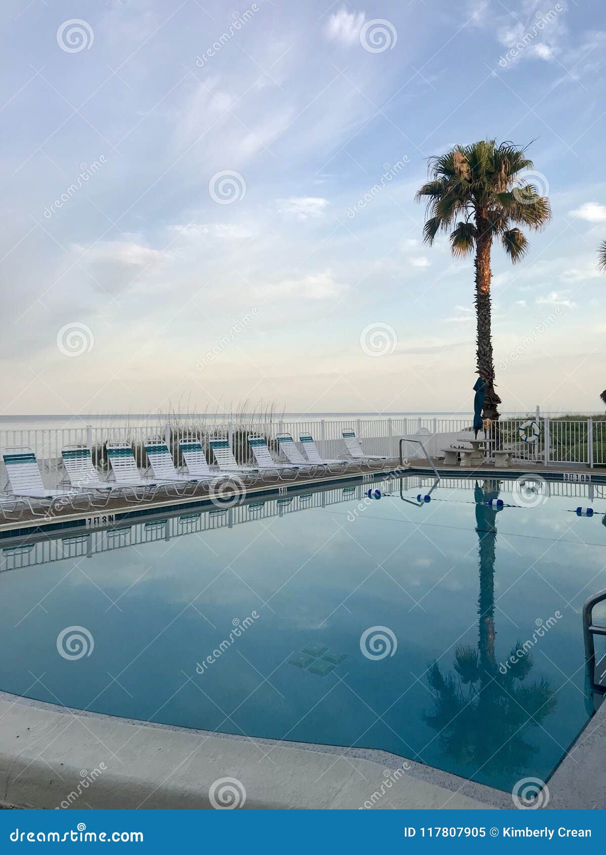 Sunrise stock image. Image of pool, plam, sunrise, florida - 117807905
