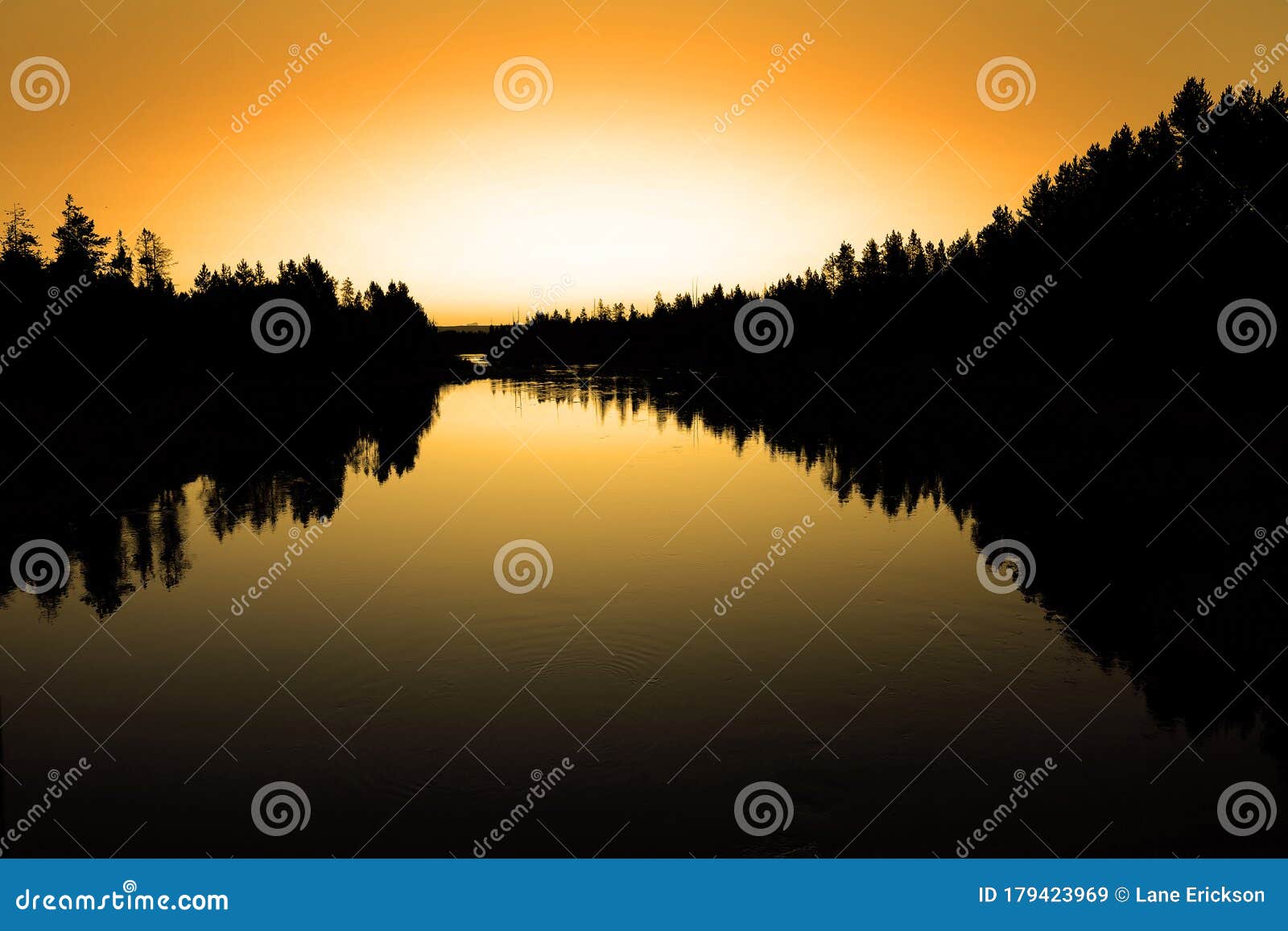 Sunrise or Sunset on River with Forest of Pine Trees Stock Image ...