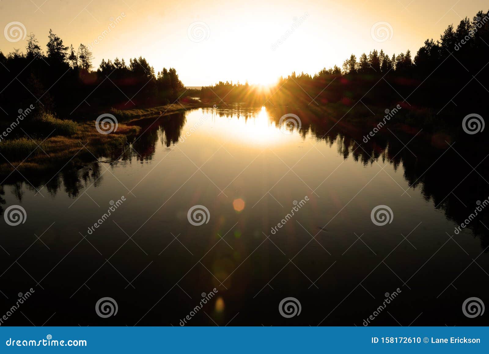 Sunrise or Sunset on River with Forest of Pine Trees Stock Photo ...