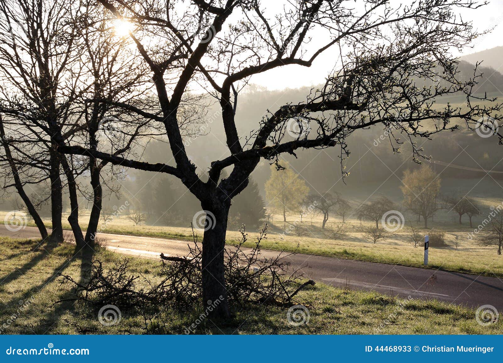 Sunrise in the Taunus Mountains Stock Image - Image of sunny, mild ...