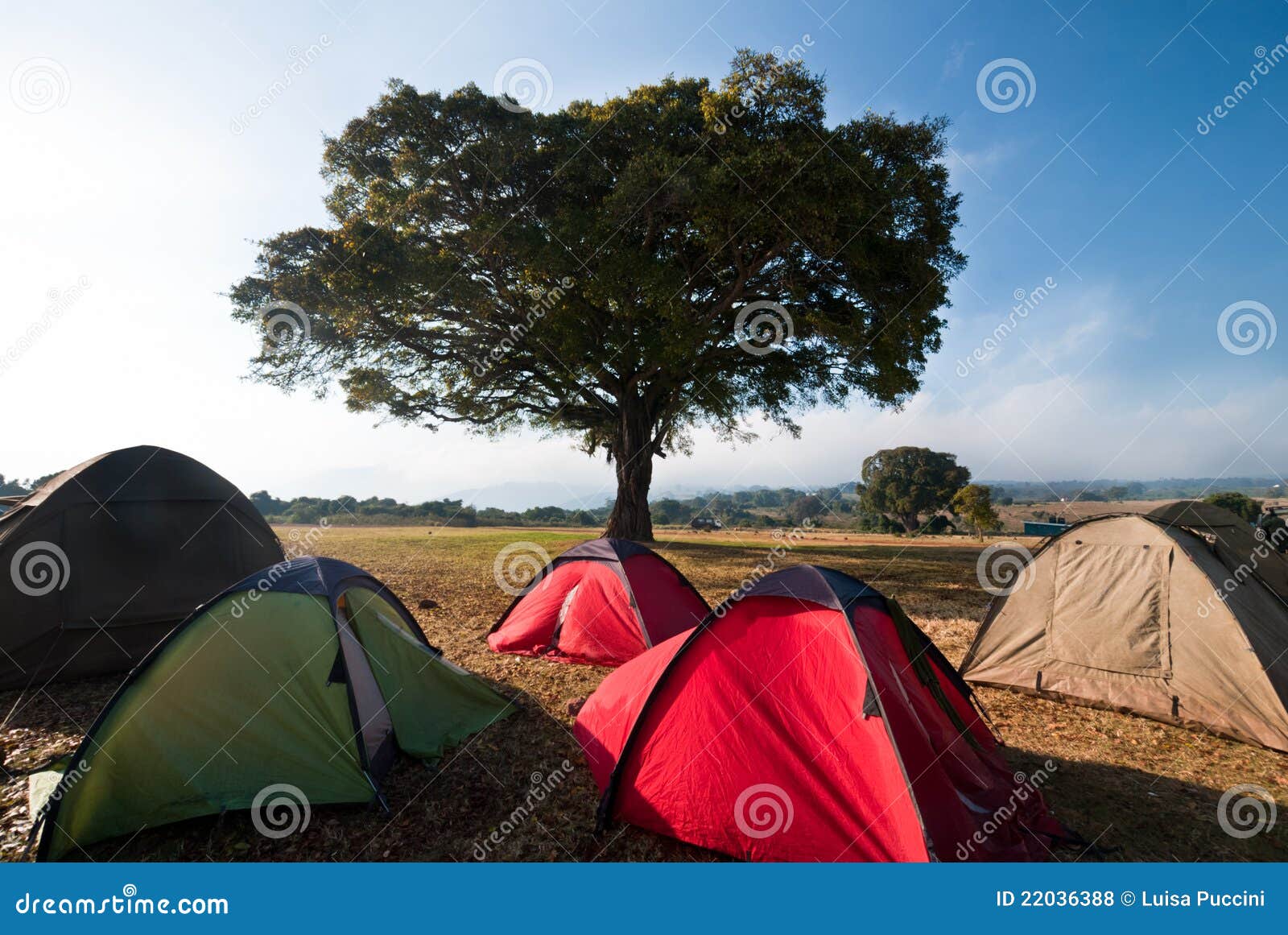 Sunrise at the tented camp stock photo. Image of tree - 22036388