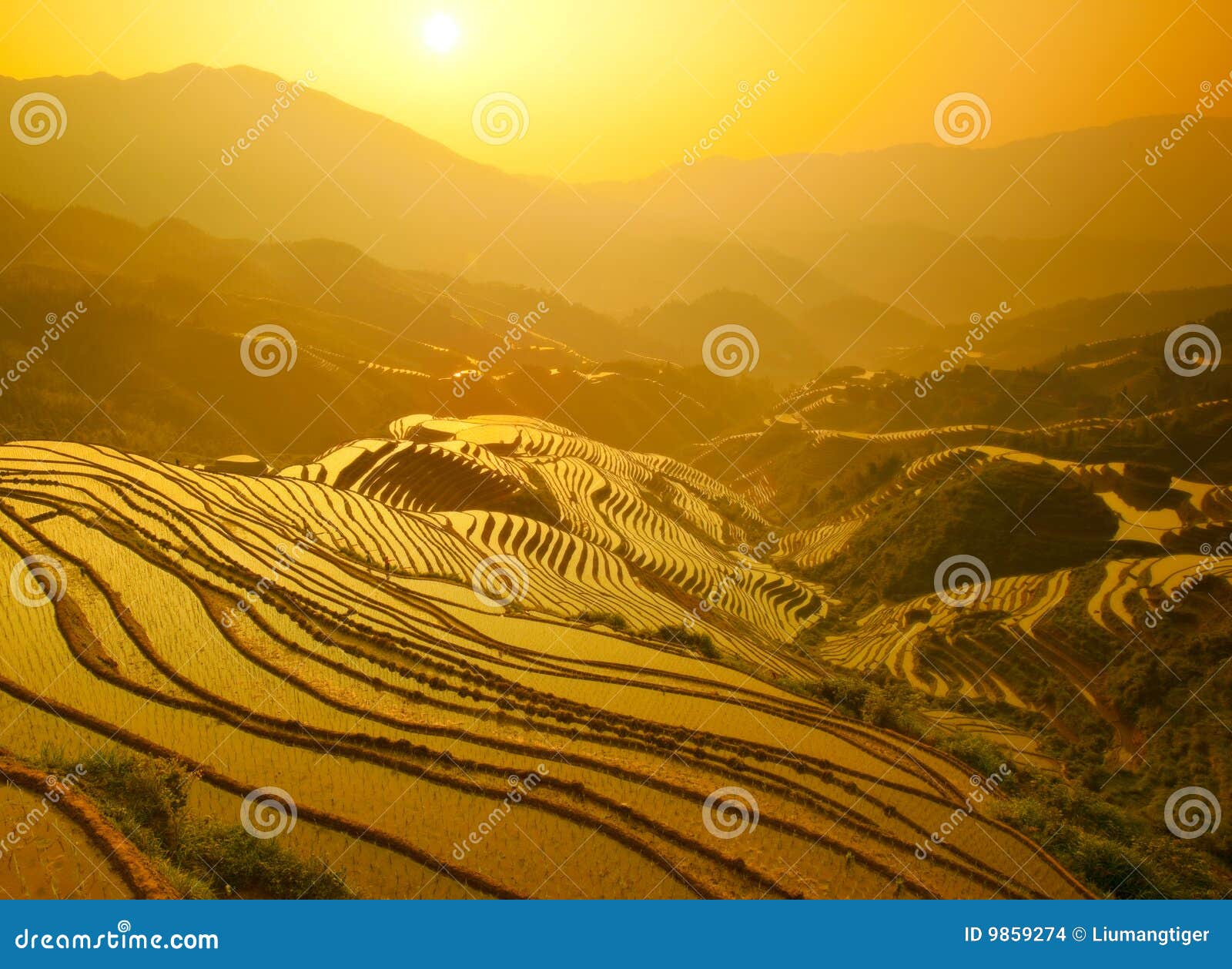 Sunrise of terrace stock photo. Image of sunrise, hard - 9859274