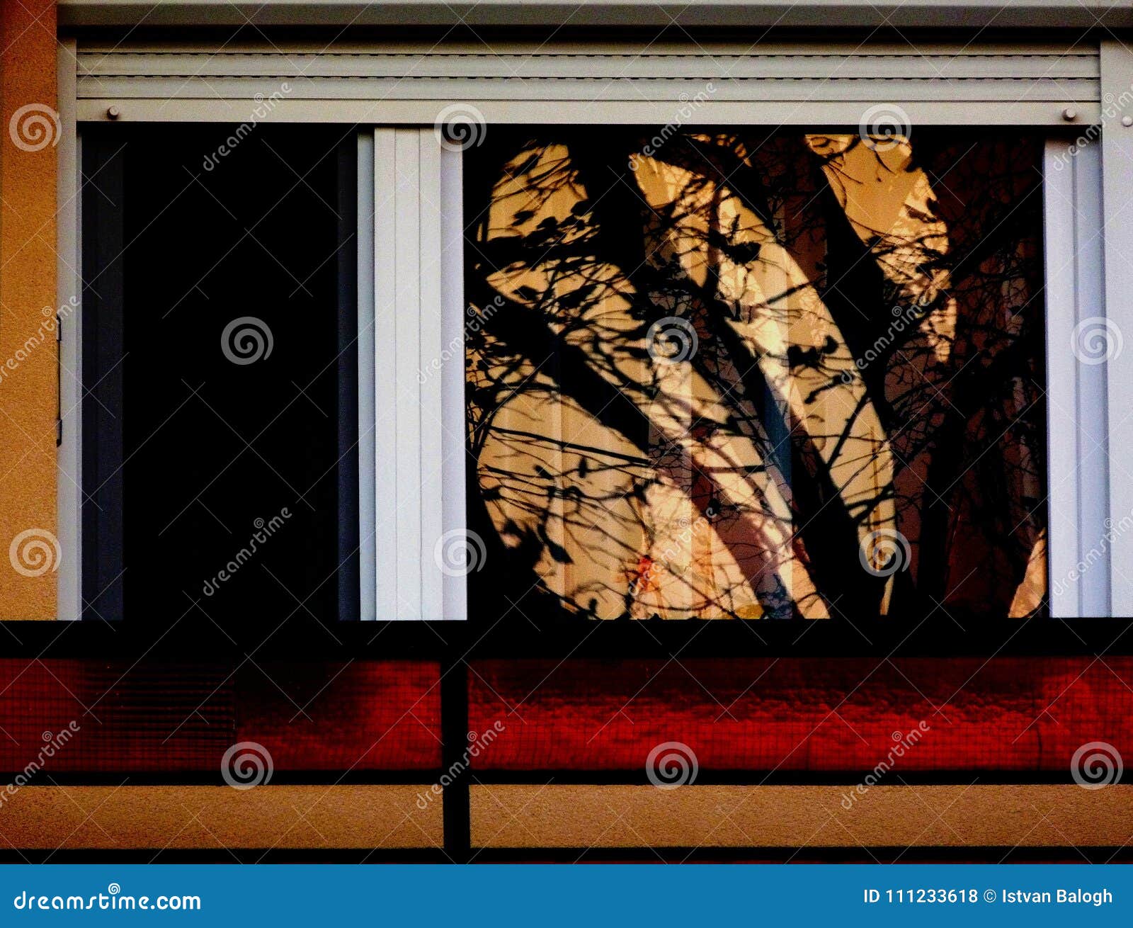 Sunrise and Tree Abstract Reflecting in Window Stock Photo - Image of ...