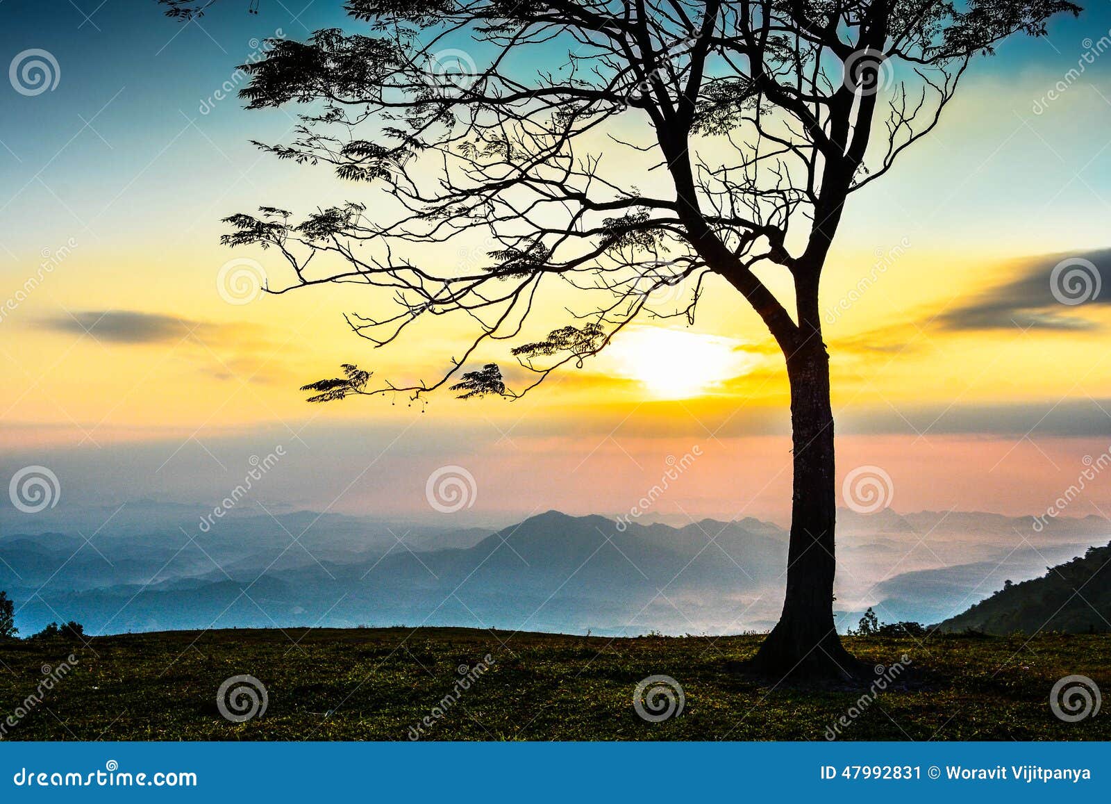 Sunrise and tree stock image. Image of mountains, china - 47992831