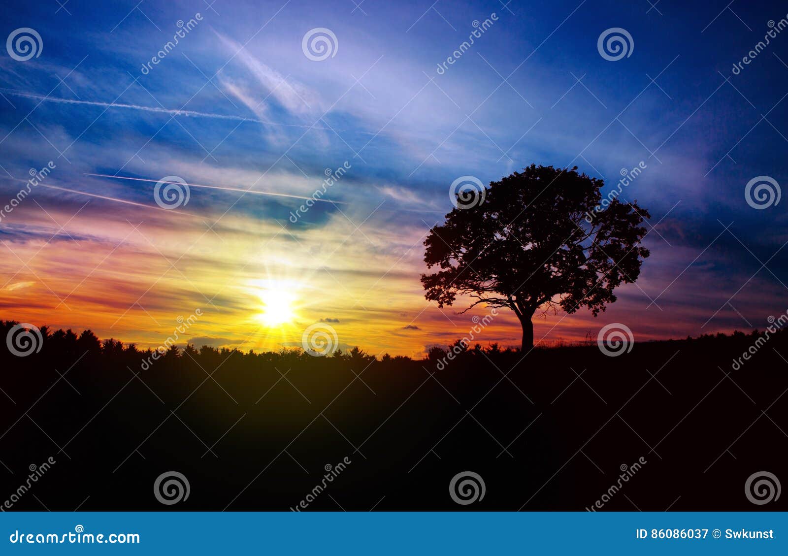 Sunrise with tree. stock image. Image of ecology, blue - 86086037