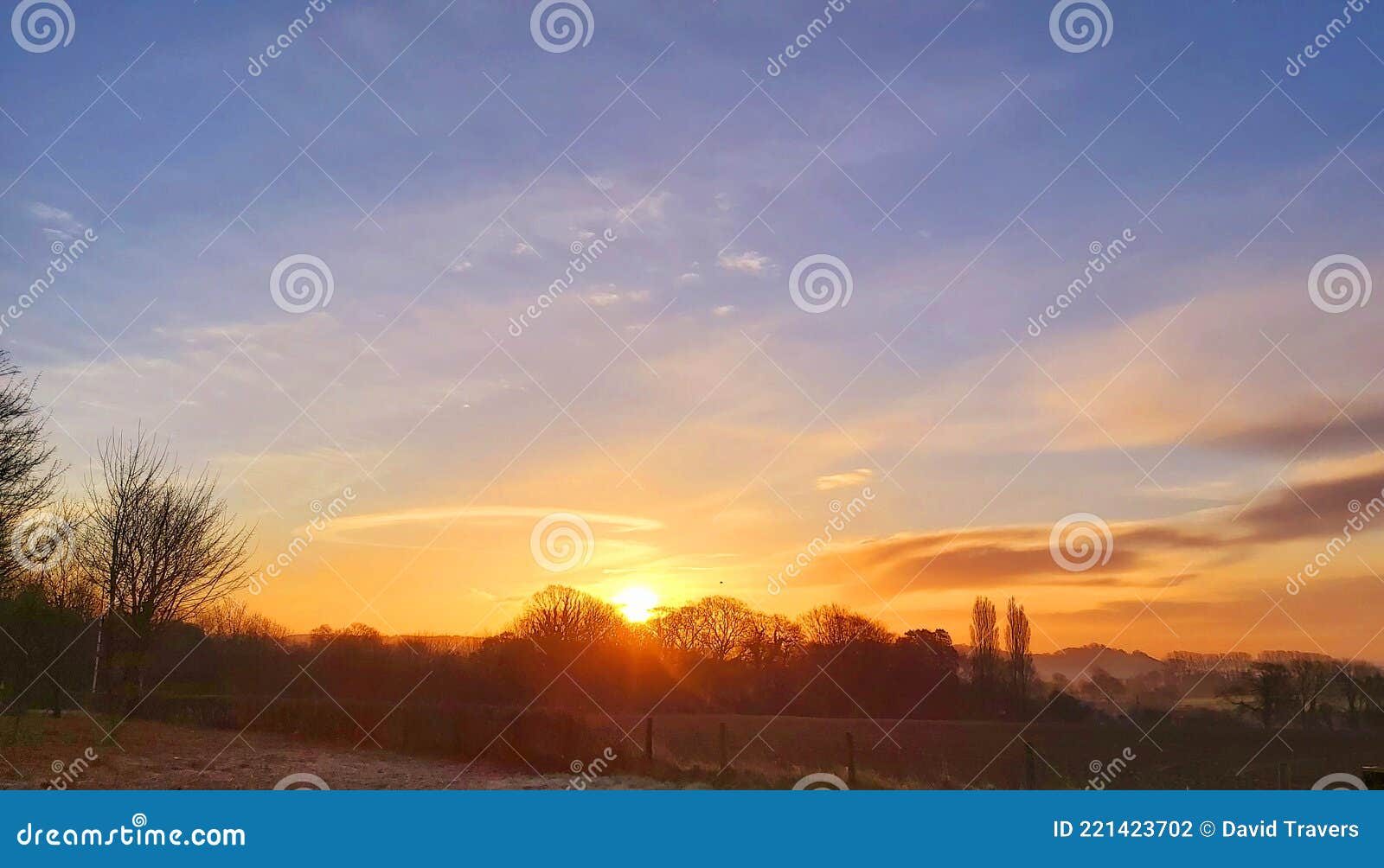 Sunrise through trees stock photo. Image of hill, sunlight - 221423702