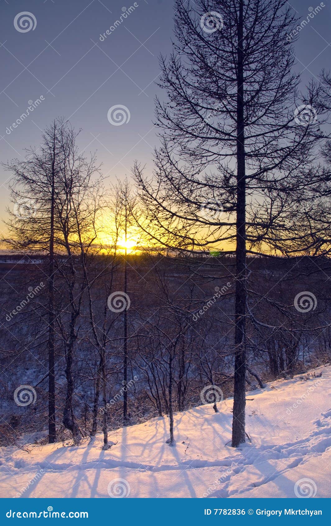 Sunrise in tundra stock photo. Image of landscape, outdoors - 7782836