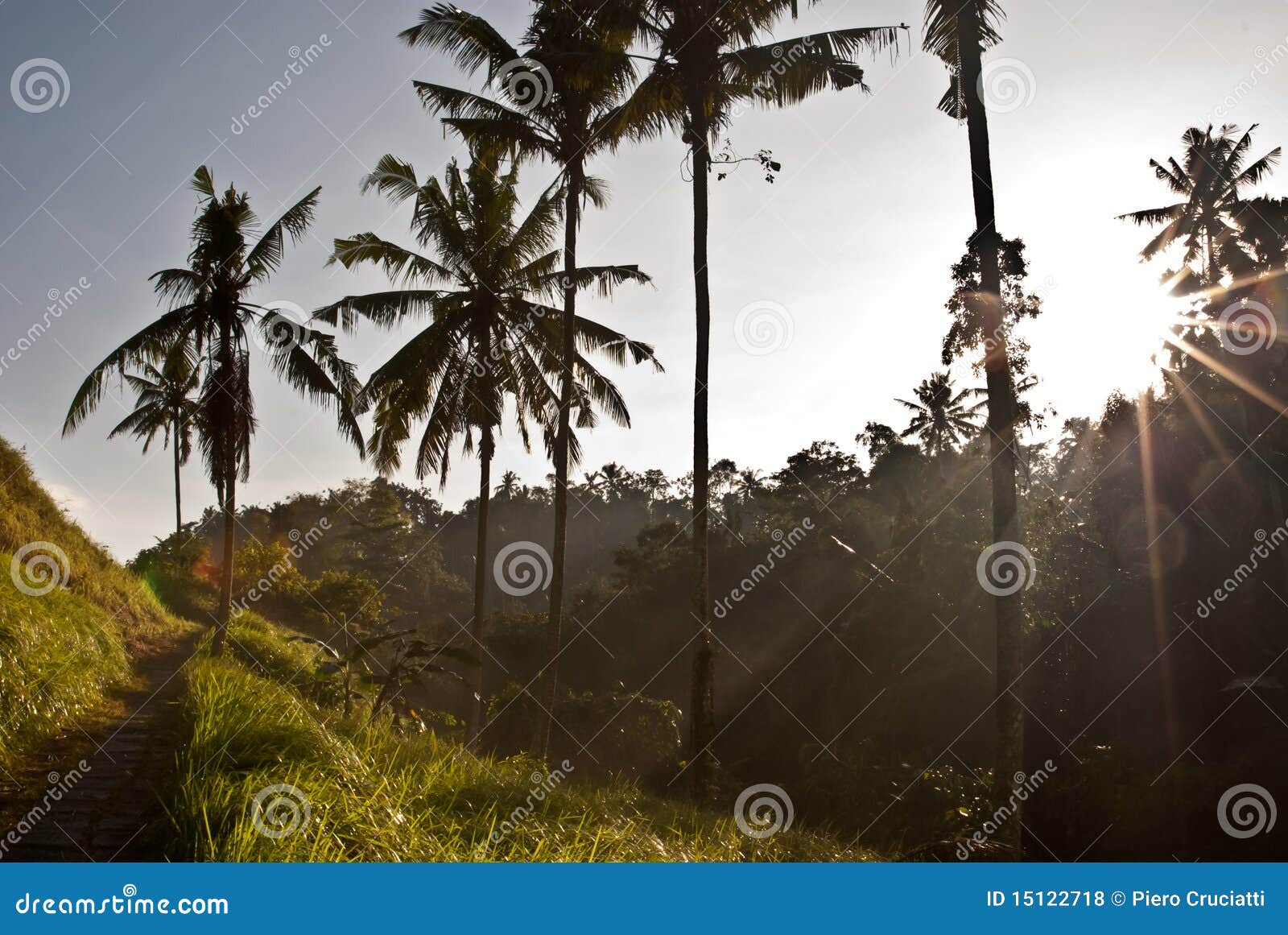 Sunrise in Ubud Bali, Indonesia Stock Photo - Image of asia, island ...