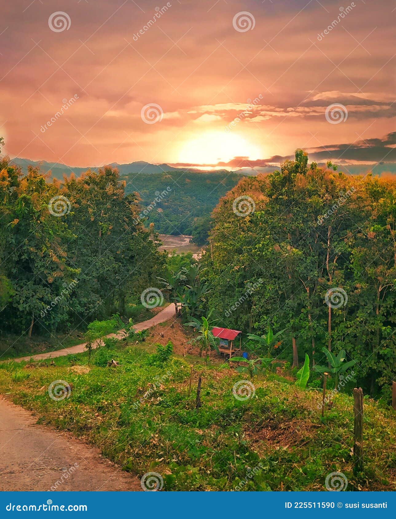 Sunrise View on the Green Hillside Stock Photo - Image of meadow ...