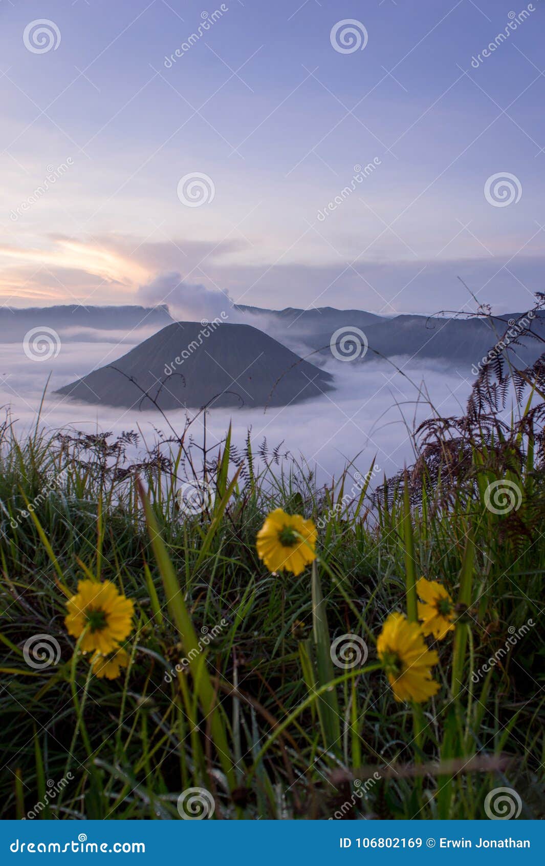 Sunrise View in Mount Bromo Stock Image - Image of midst, mount: 106802169