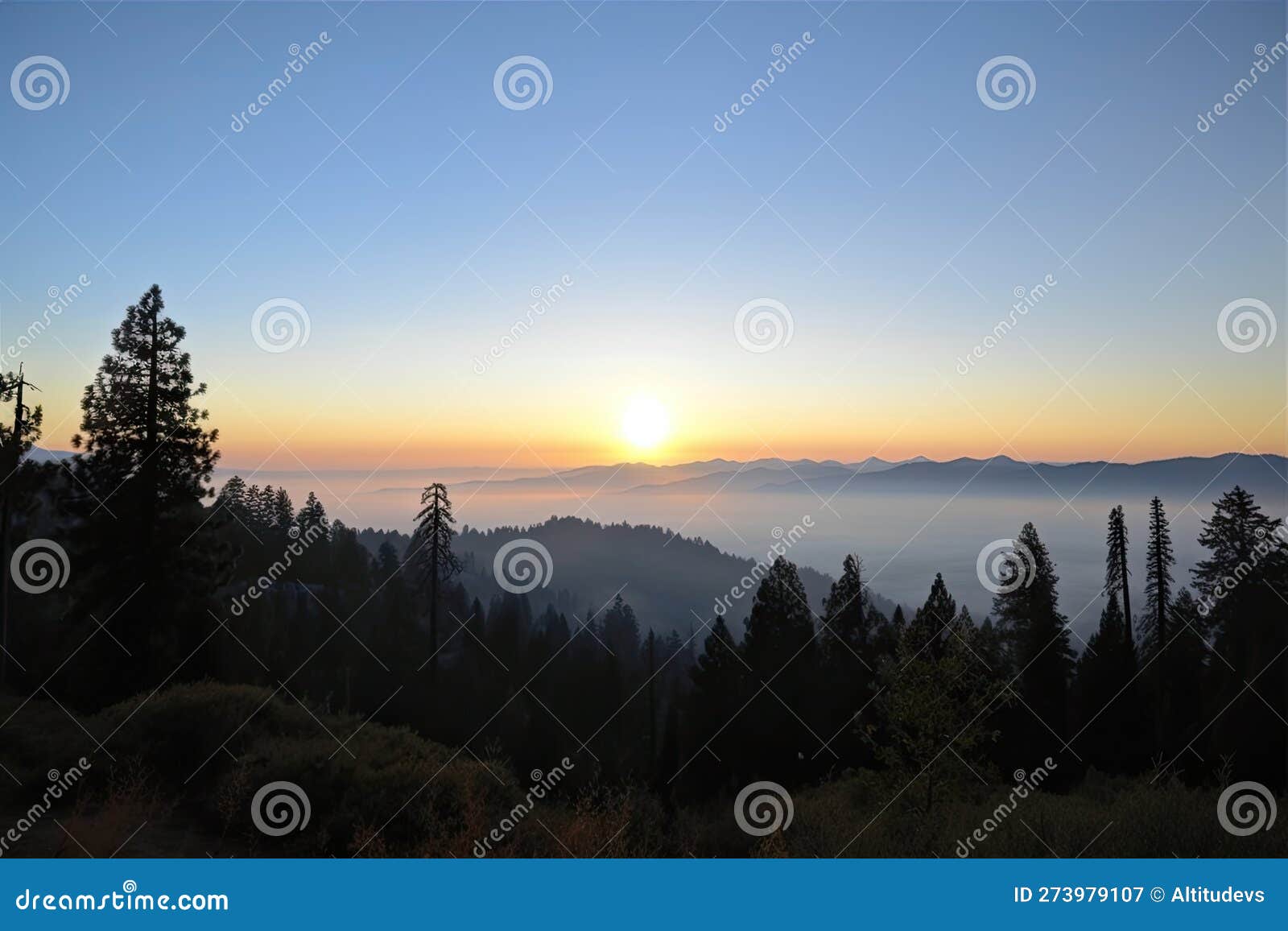 Sunrise, with View of the Sequoia Forest, and a Glimpse of the Blue Sky ...