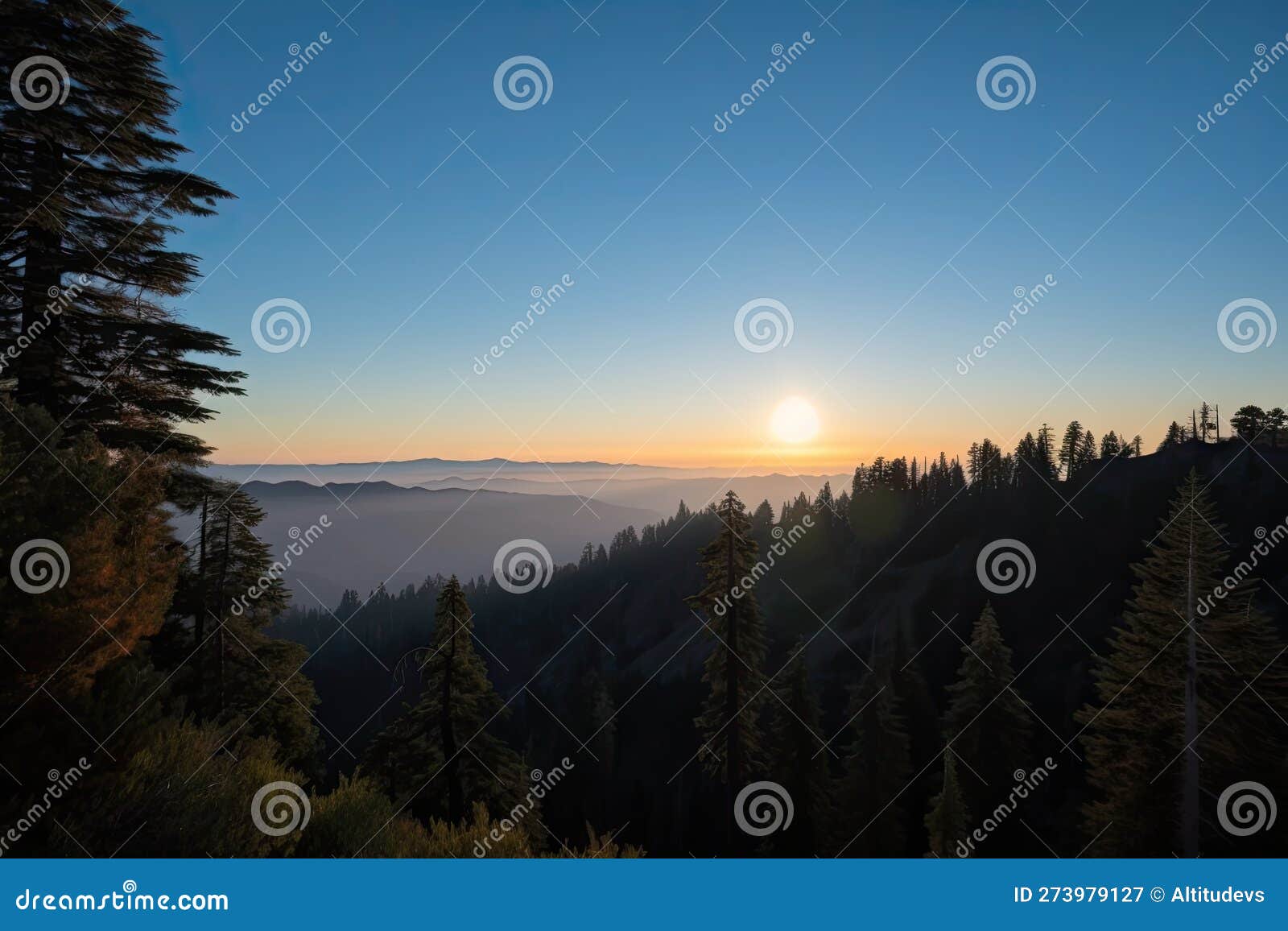 Sunrise, with View of the Sequoia Forest, and a Glimpse of the Blue Sky ...