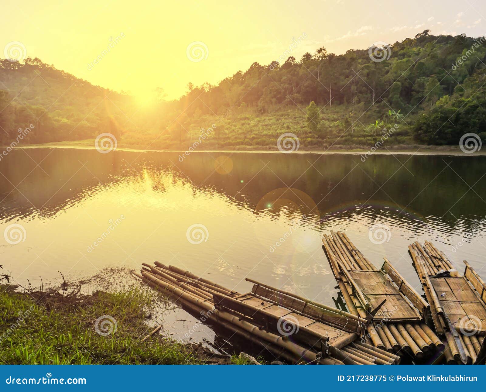 Sunrise View in the Swamp with Yellow Light Stock Image - Image of pond ...