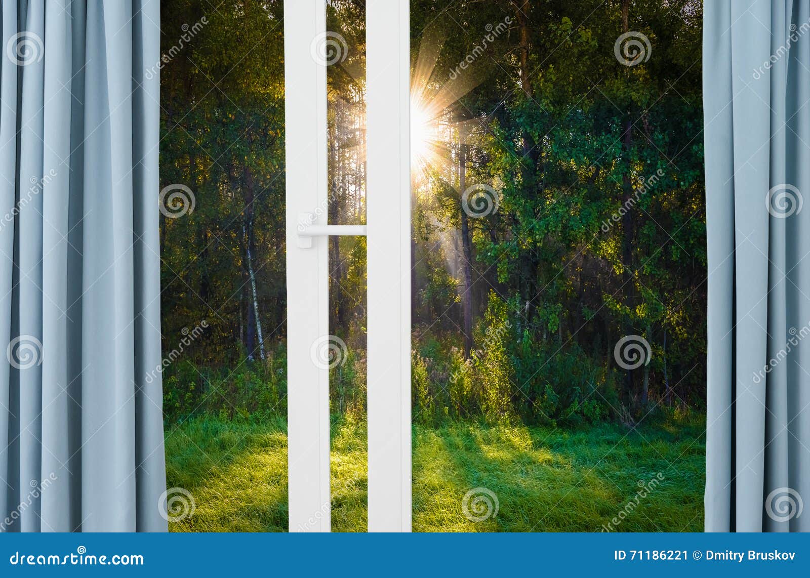 Sunrise View from the Window Stock Image - Image of lawn, light: 71186221