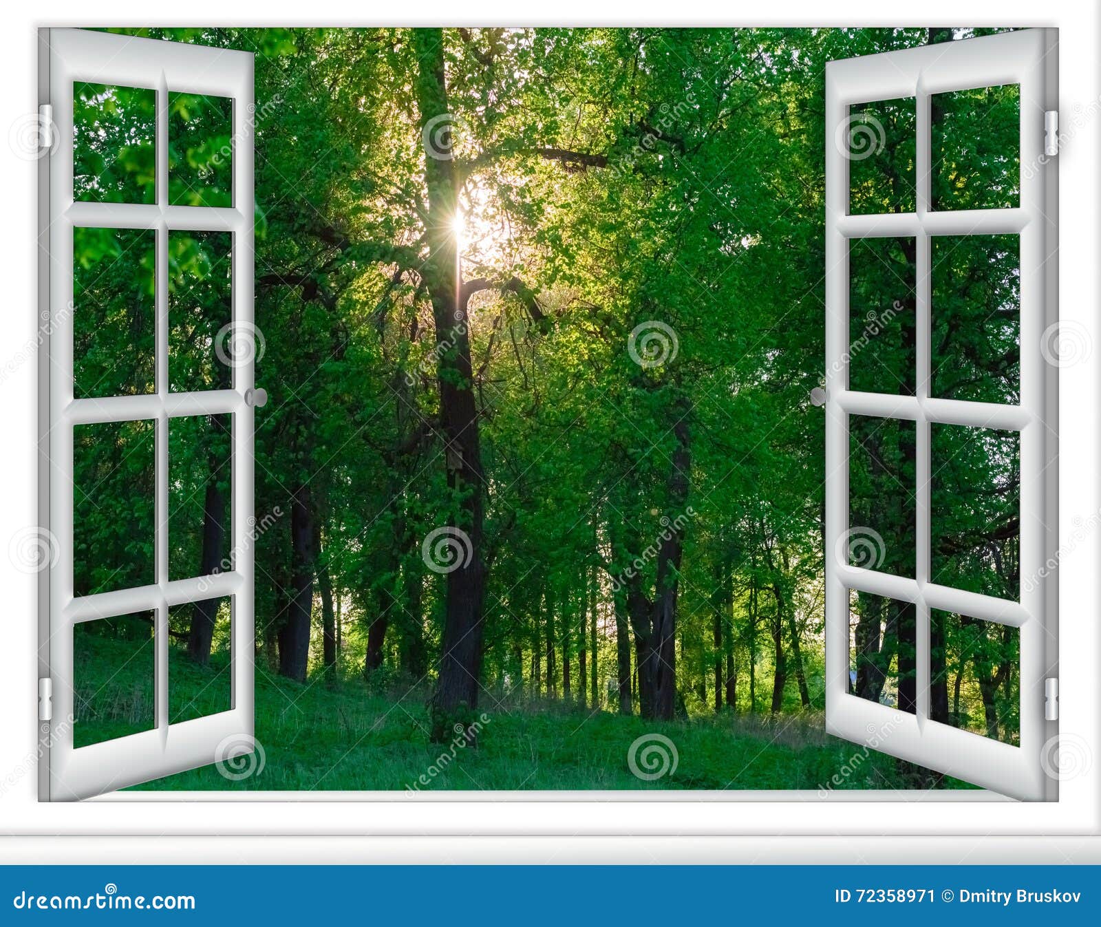 Sunrise View from the Window Stock Image - Image of lawn, beauty: 72358971