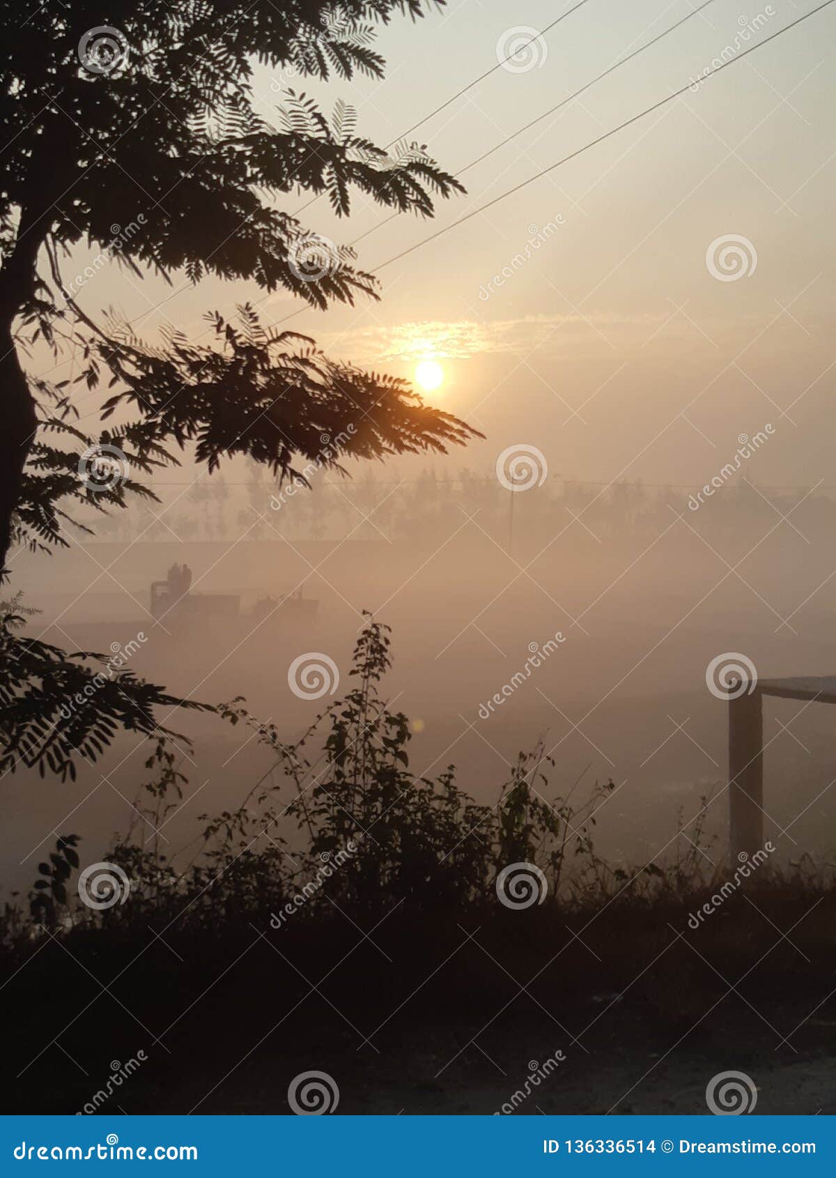 Sunrise in a Village in Asia Stock Photo - Image of blooming, life ...